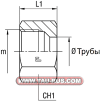 Гайка обжимная 1002... DIN2353, врезное кольцо B4 DIN2353 (фитинги ...